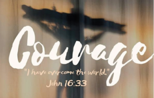 Salt, Light and Leaven: Lay People in the Renewal of the Church ...