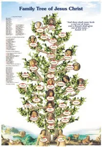 Grafted Onto Jesus' Family Tree, December 17, 2025 - Catholic Preaching